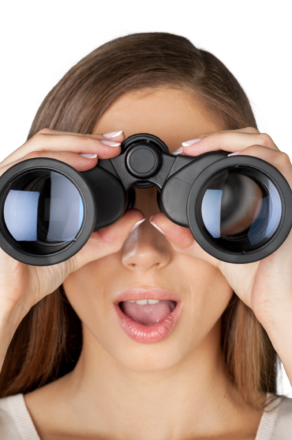 Les programmes de formation de la Cité collégiale – PPE